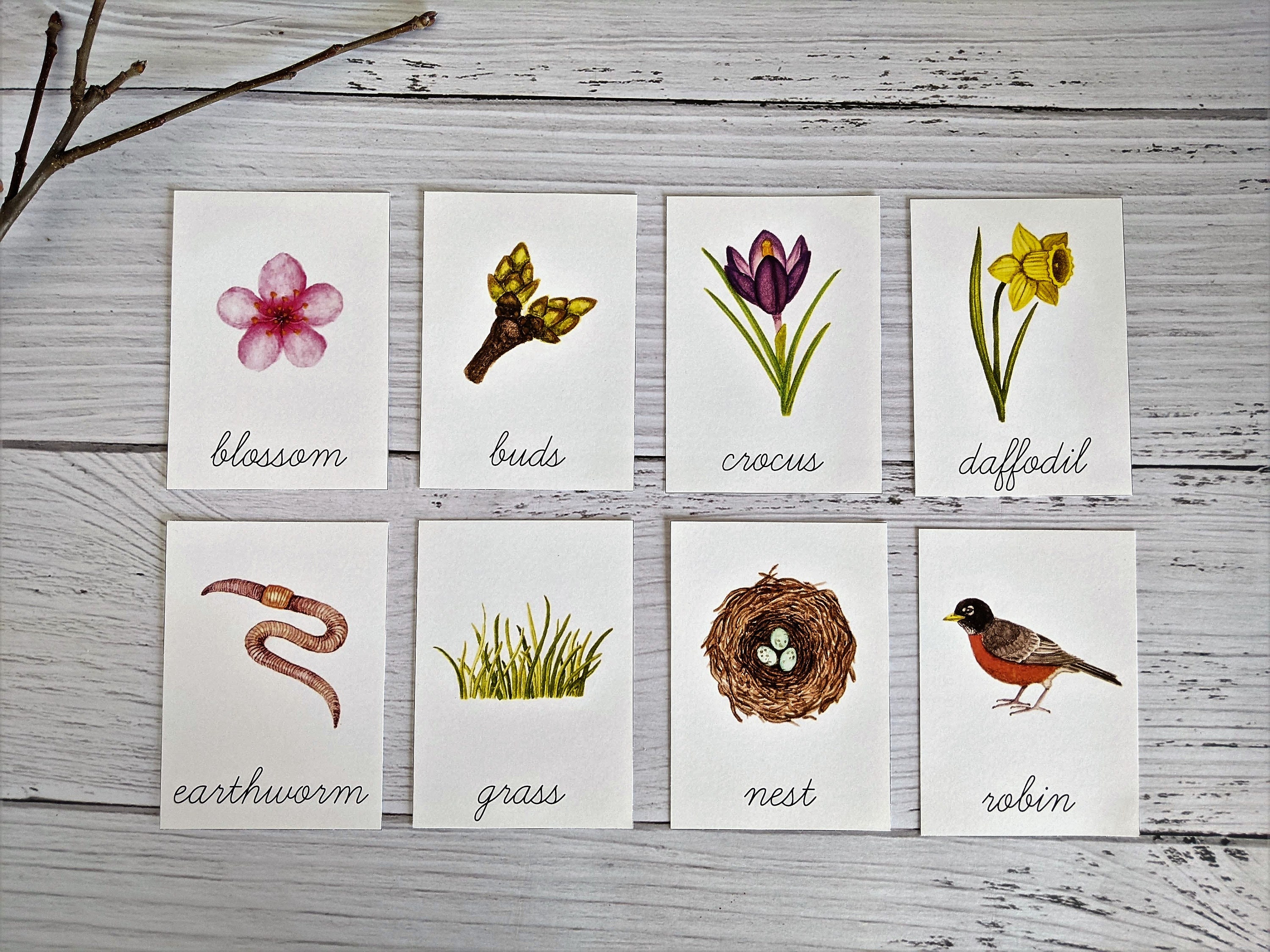 Spring Mini Poster & Cards Homeschool Printable Nature | Etsy