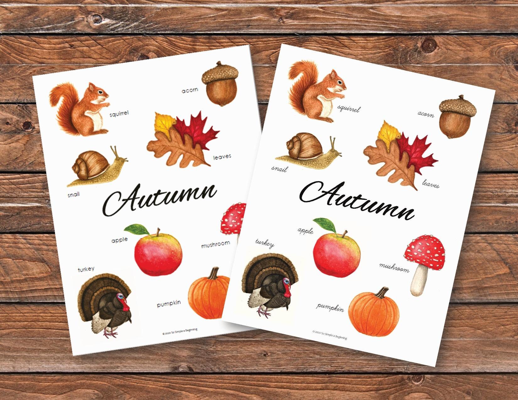 Autumn Mini Poster & Cards | Homeschool Printable | 3-part Cards | Fall ...