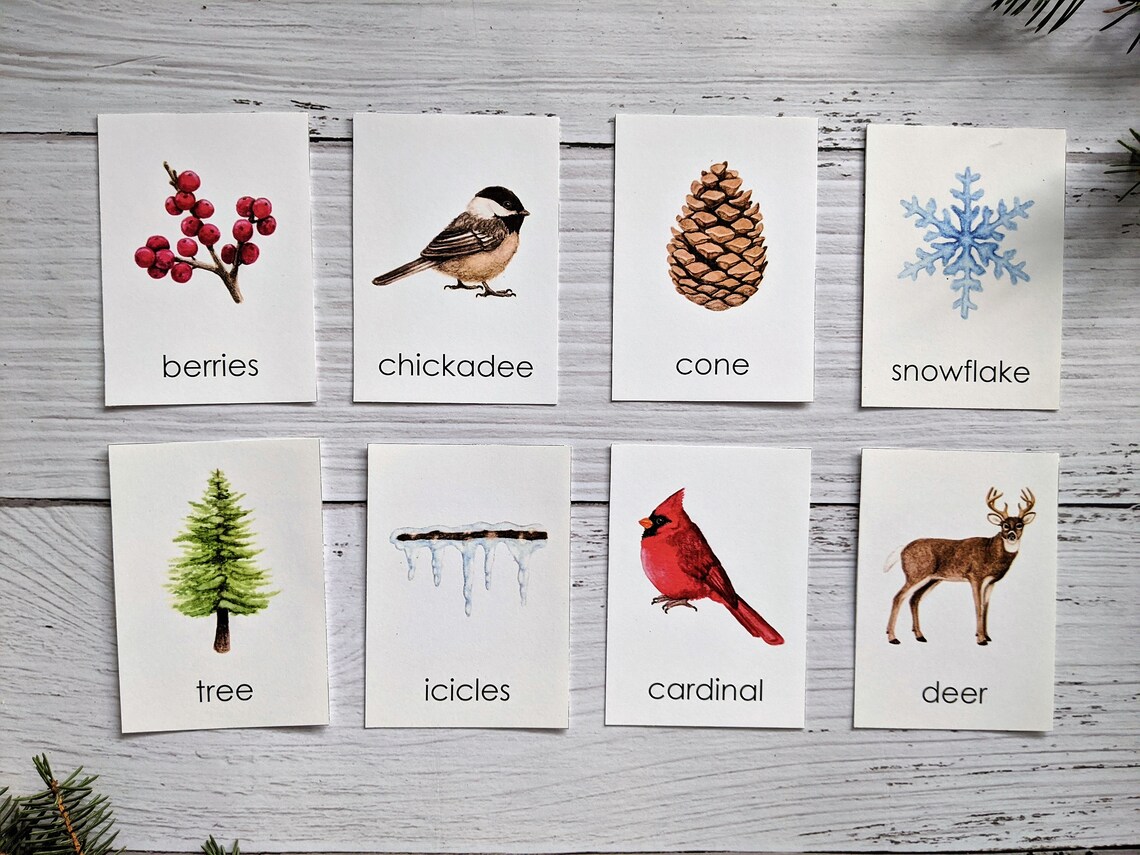 Winter Mini Poster and Cards | Homeschool Printable | 3-part Cards - Etsy
