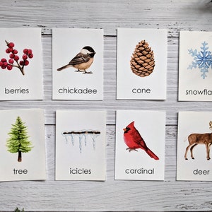 Winter Mini Poster and Cards | Homeschool Printable | 3-part Cards - Etsy