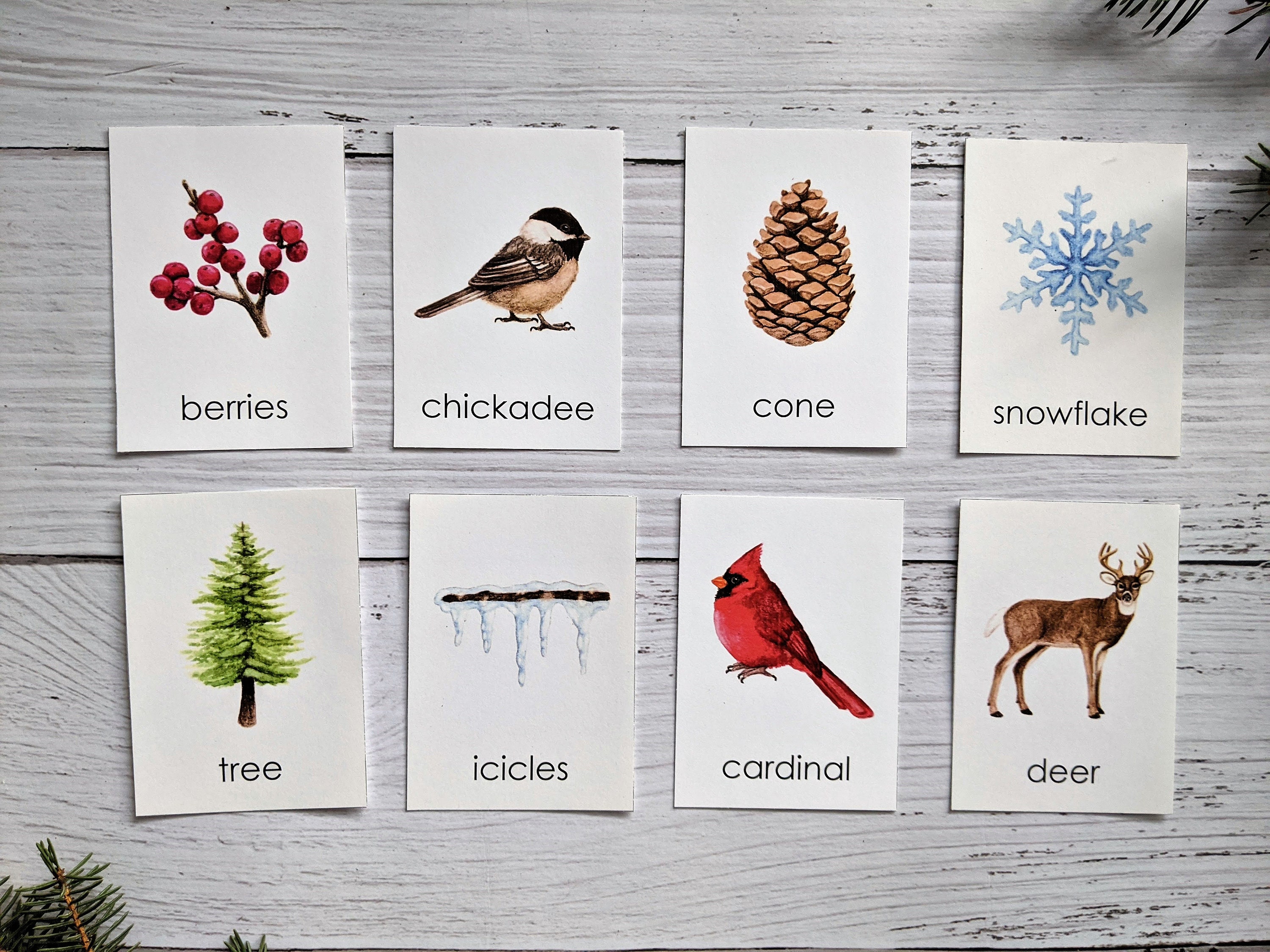 Winter Mini Poster and Cards | Homeschool Printable | 3-part Cards - Etsy