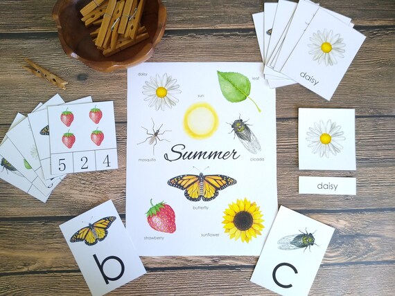 Summer Early Learning Bundle Homeschool Printable | Etsy