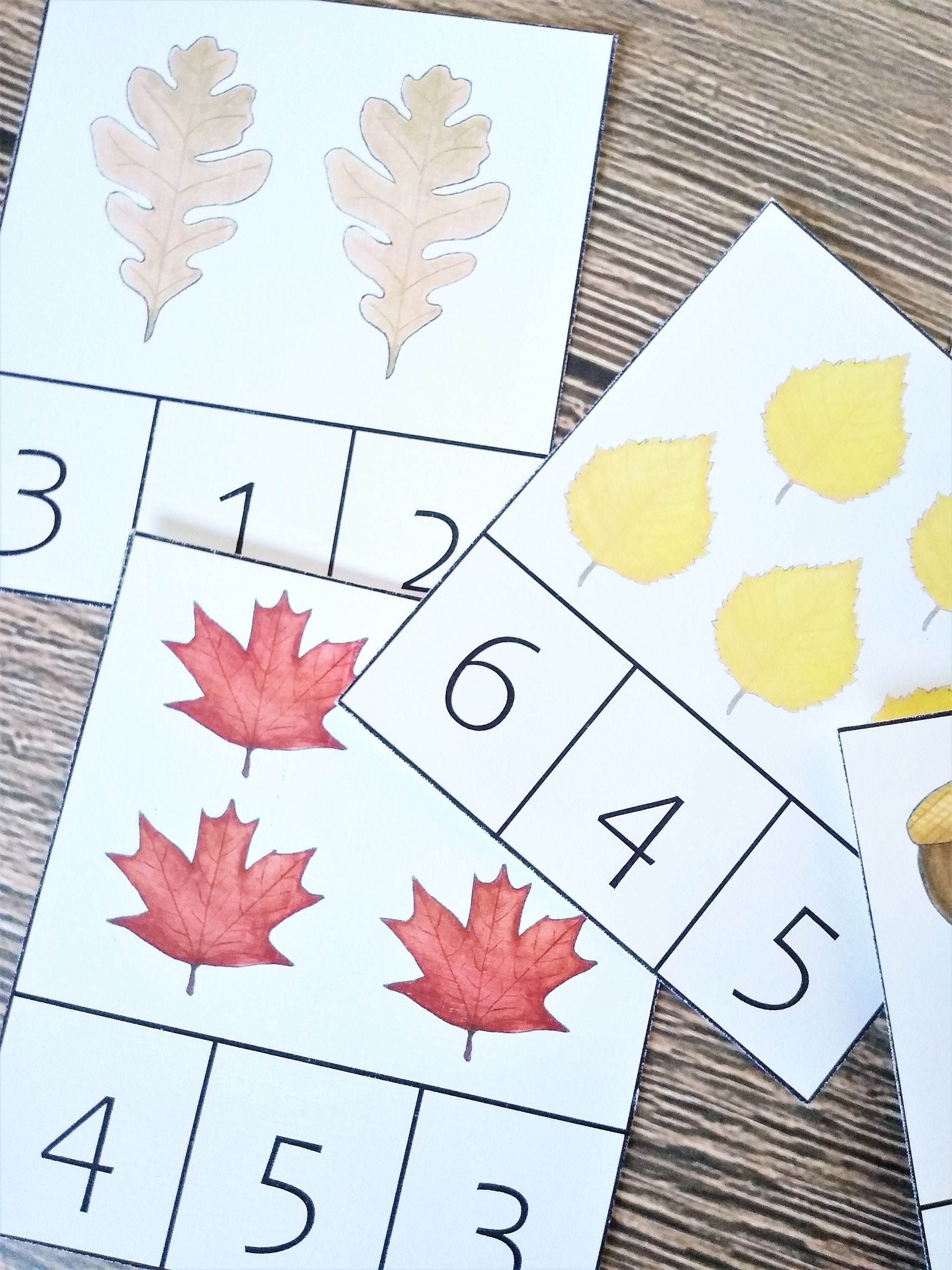 Fall Leaves Count & Clip Cards - Etsy