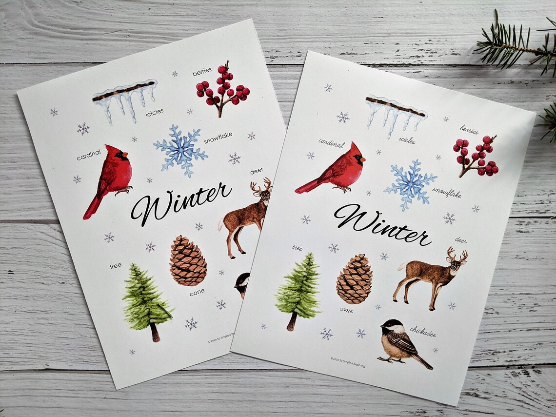 Winter Mini Poster and Cards | Homeschool Printable | 3-part Cards - Etsy