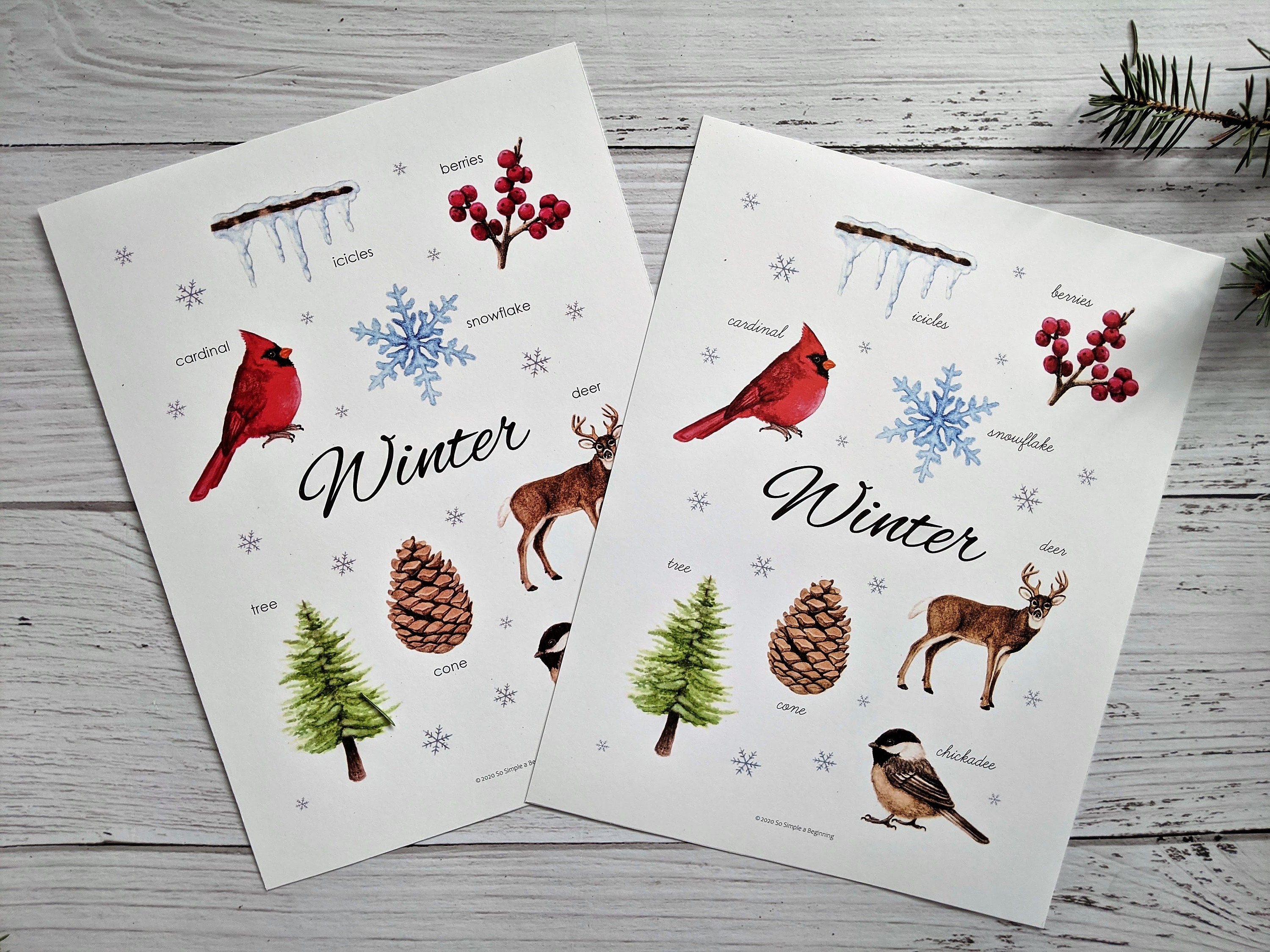 Winter Mini Poster and Cards | Homeschool Printable | 3-part Cards - Etsy