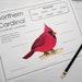 Northern Cardinal Anatomy Pack Homeschool (Download Now) - Etsy