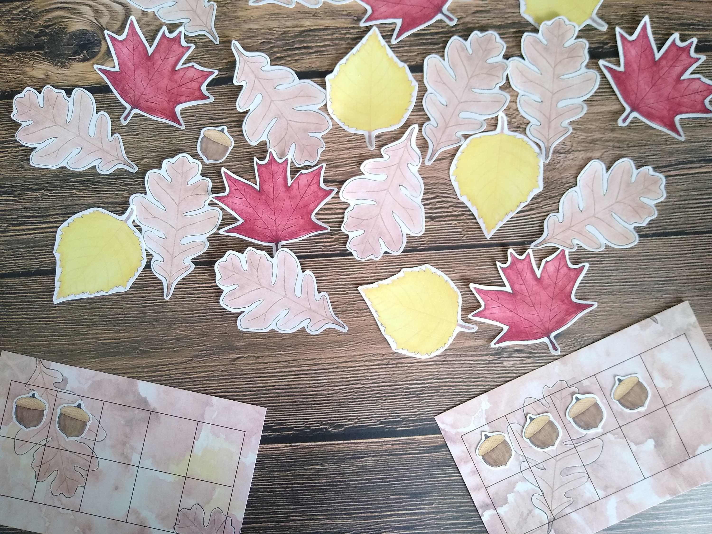 Fall Foraging Game - Etsy