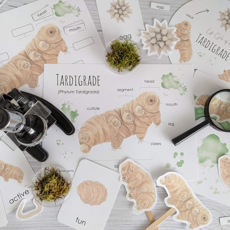 Tardigrade - Etsy