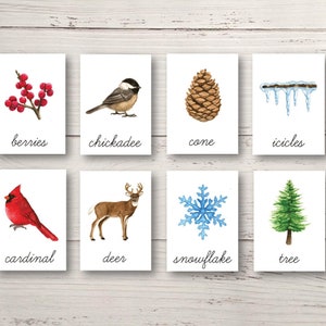 Winter Mini Poster and Cards | Homeschool Printable | 3-part Cards - Etsy
