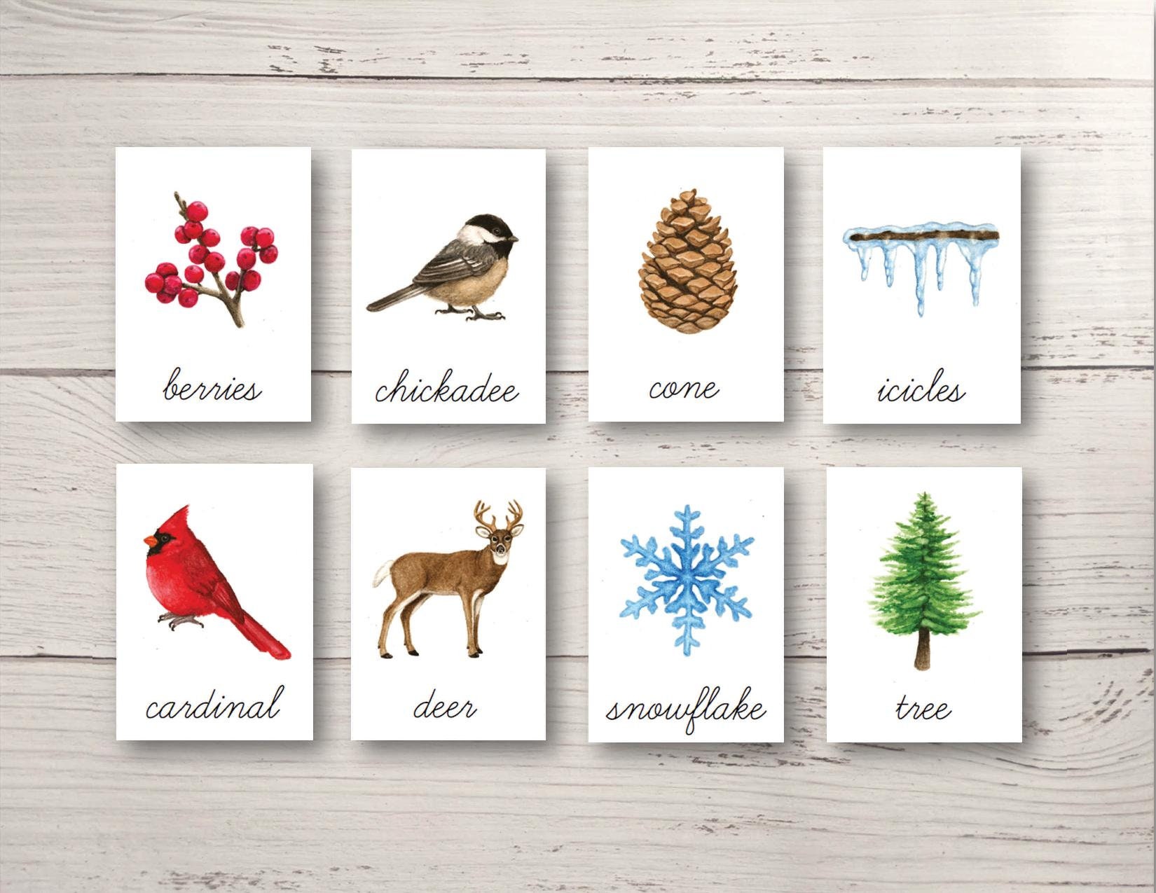 Winter Mini Poster and Cards | Homeschool Printable | 3-part Cards - Etsy