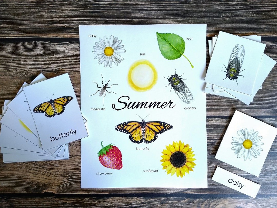Summer Mini Poster and Cards | Homeschool Printable | 3-part Cards - Etsy