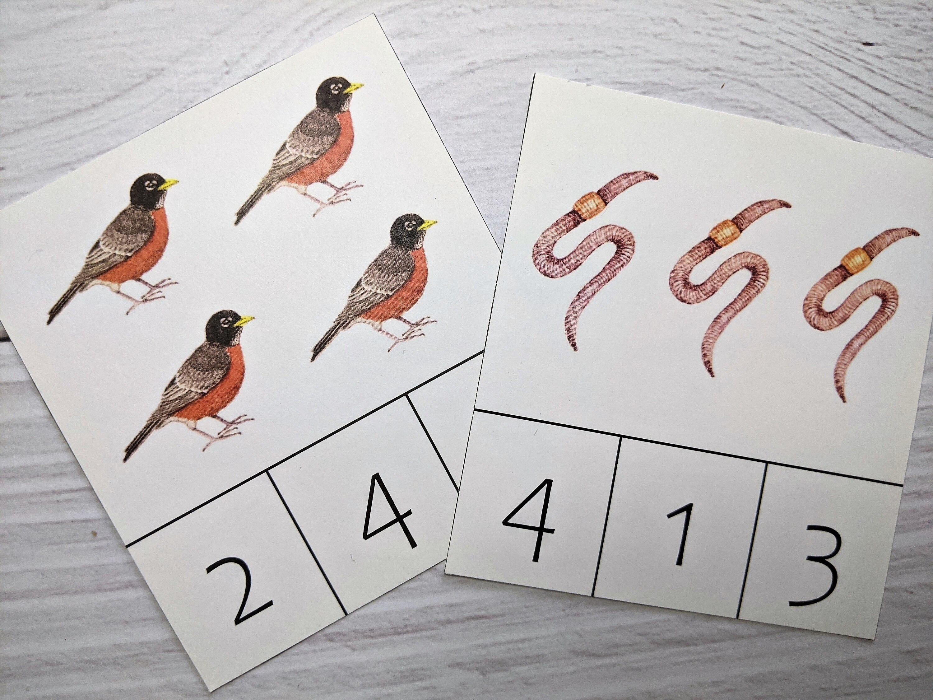 Spring Count & Clip Cards | Homeschool Printable | Math - Etsy