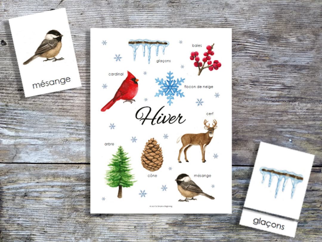 French Winter Mini Poster and Cards | Homeschool Printable | 3-part ...