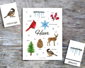 Winter Mini Poster and Cards Homeschool Printable 3-part Cards - Etsy