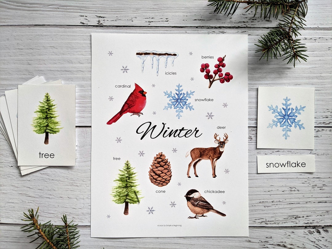 Winter Mini Poster and Cards | Homeschool Printable | 3-part Cards - Etsy