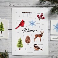 Winter Mini Poster and Cards Homeschool Printable 3-part Cards - Etsy