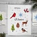 Winter Mini Poster and Cards | Homeschool Printable | 3-part Cards - Etsy