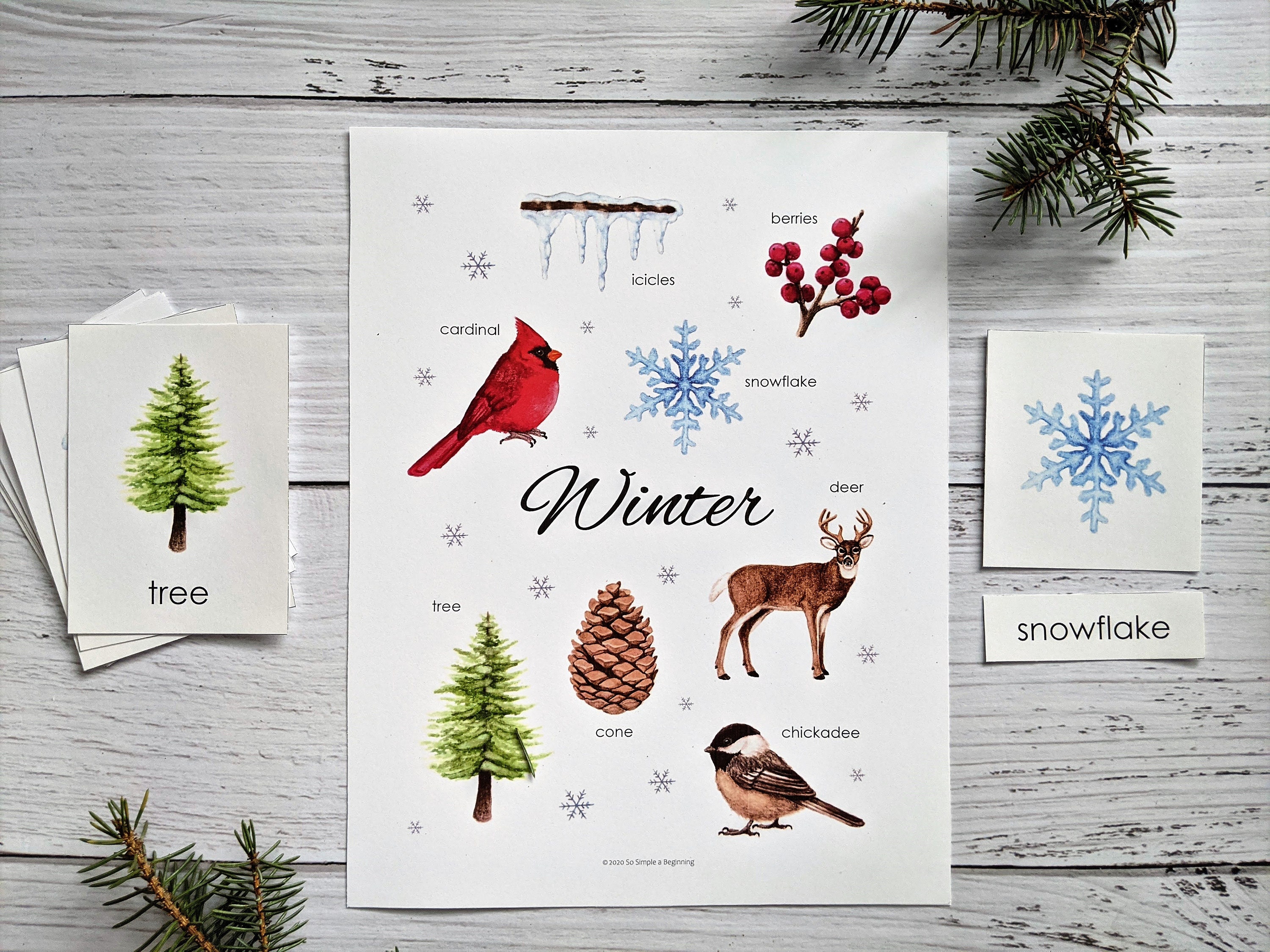 Winter Mini Poster and Cards | Homeschool Printable | 3-part Cards - Etsy