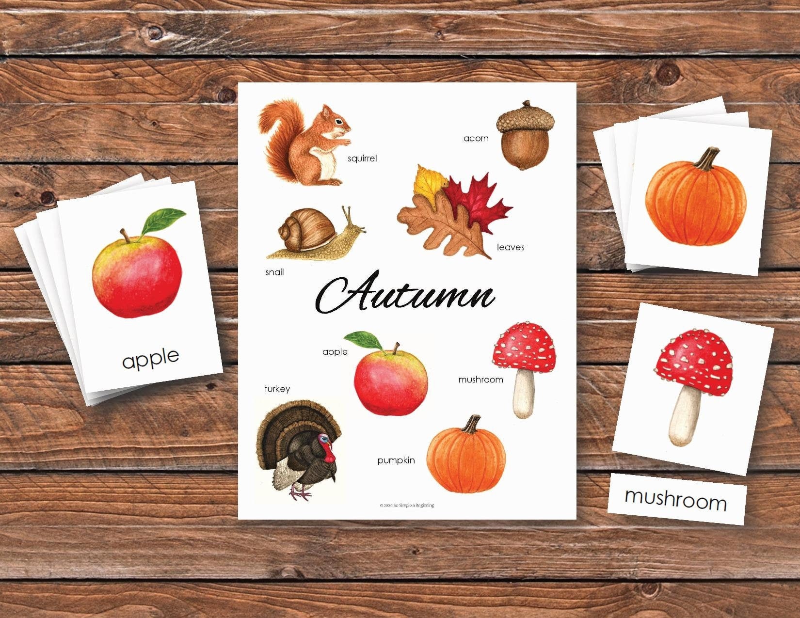 Autumn Mini Poster & Cards | Homeschool Printable | 3-part Cards | Fall ...