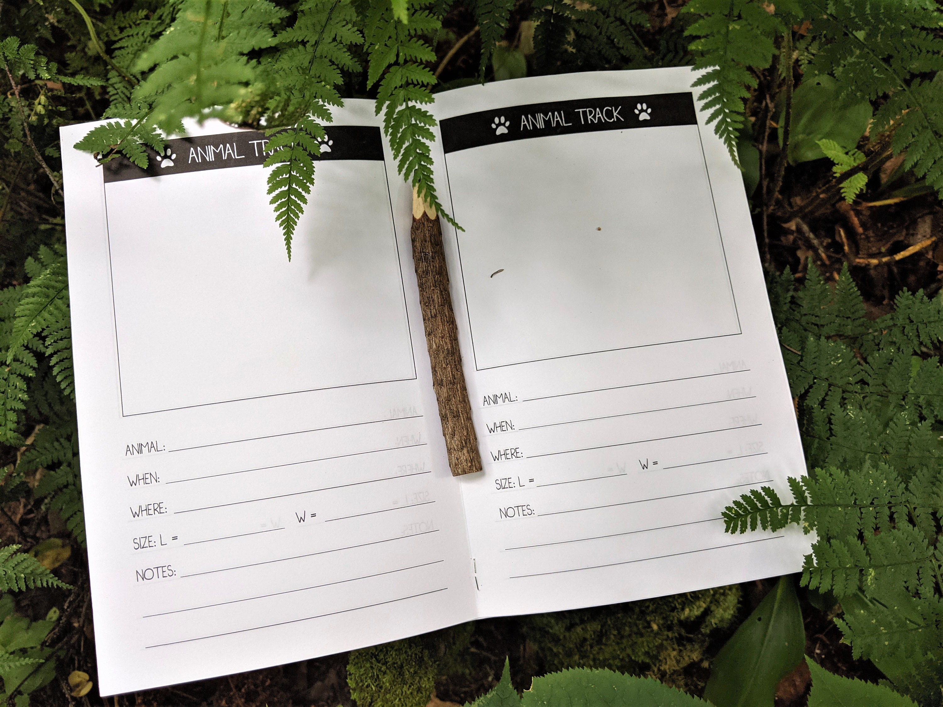 Animal Track Journal | Homeschool Printable | Nature Study - Etsy Australia