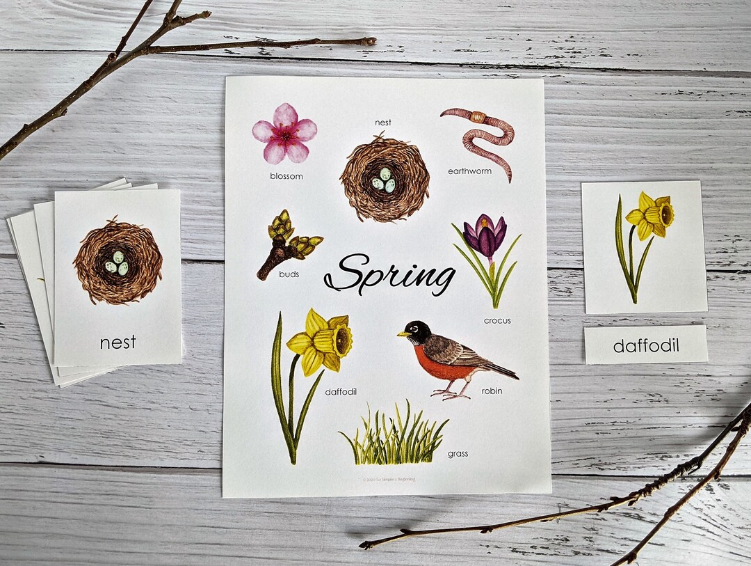 Spring Mini Poster & Cards | Homeschool Printable | Nature Study| 3 ...