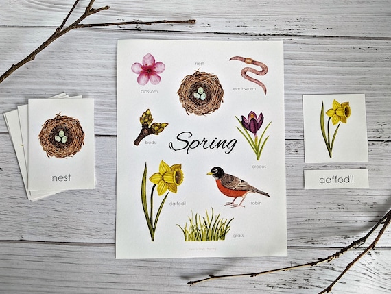 Spring Mini Poster & Cards Homeschool Printable Nature | Etsy