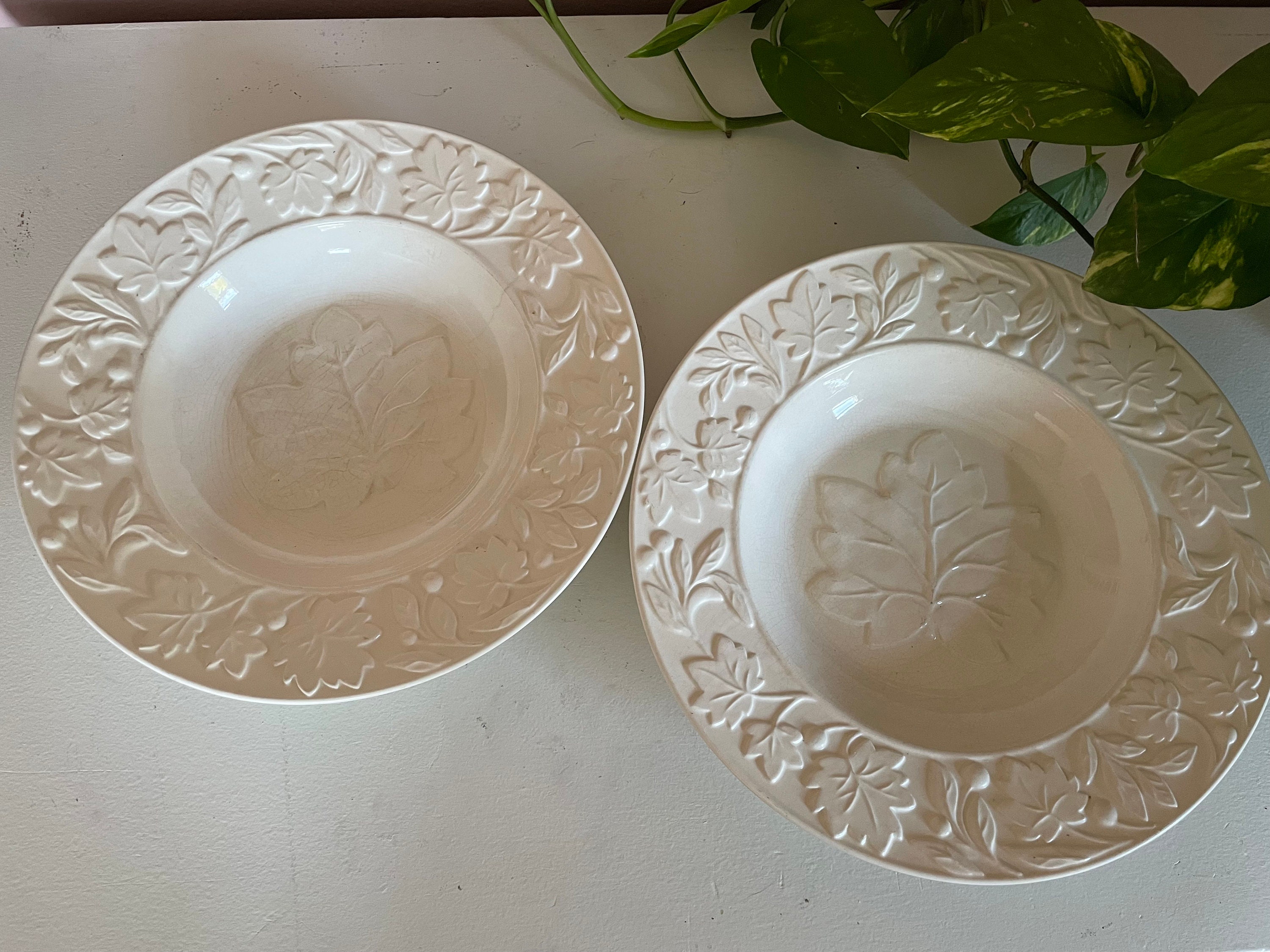 Currant Leaf Porcelain Plates Dishes Kitchen Vintage - Etsy