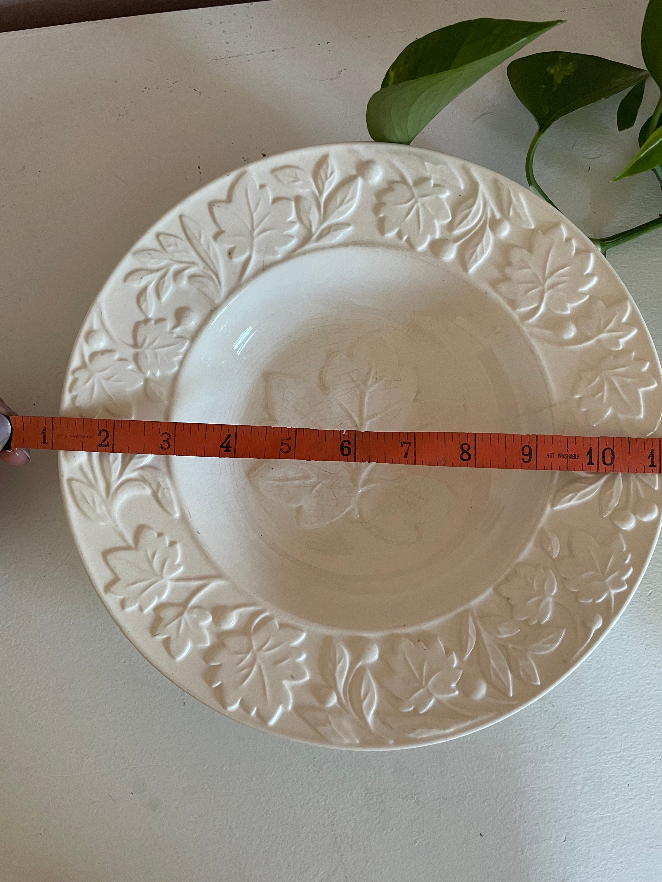 Currant Leaf Porcelain Plates Dishes Kitchen Vintage - Etsy