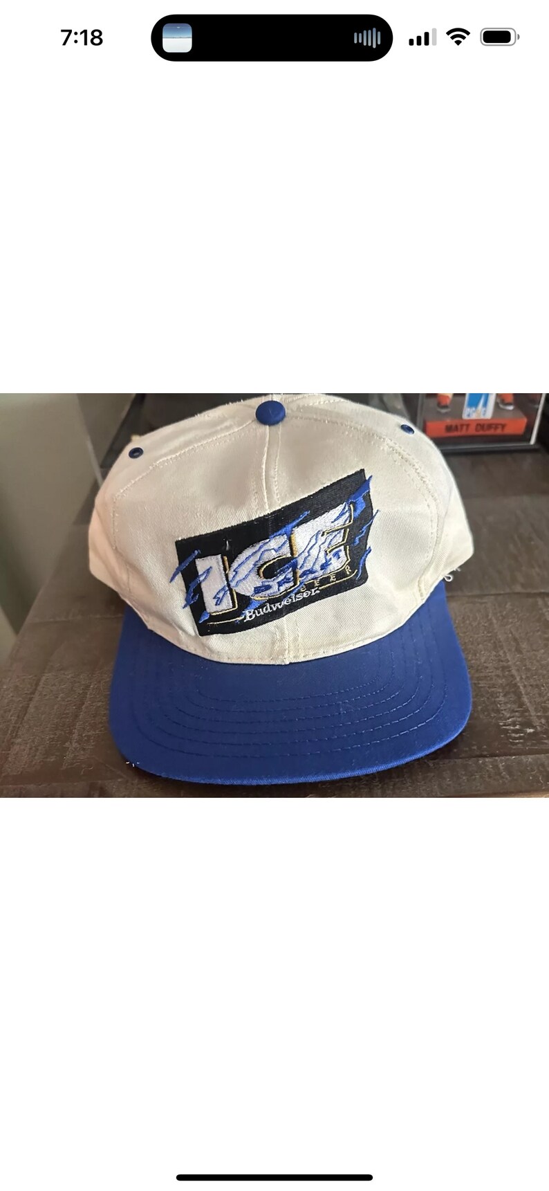 Vintage BUD ICE Budweiser Ice Draft Beer Snapback Hat Cap - Etsy