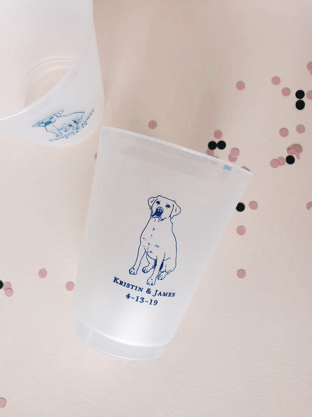 TWO PET, 16oz Frosted Plastic Cups, Disposable Cups, Custom Pet ...