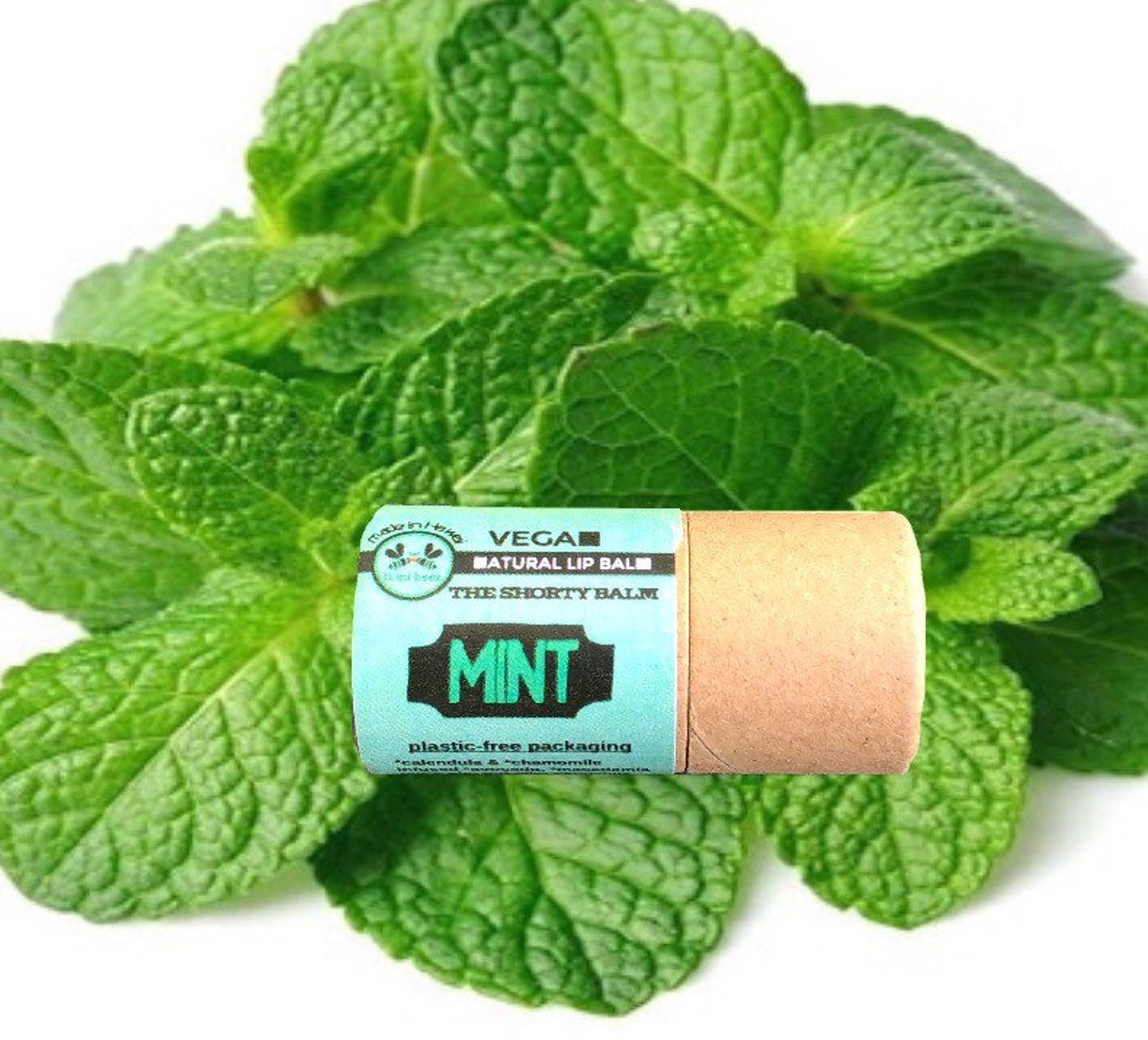Eco Friendly Mint Balm- Vegan Natural- Plastic-free Packaging- Zero ...