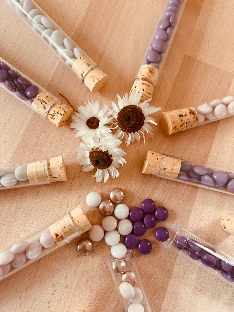 Chocolate Lenses Short Test Tube Gift With Label, Different Colors ...