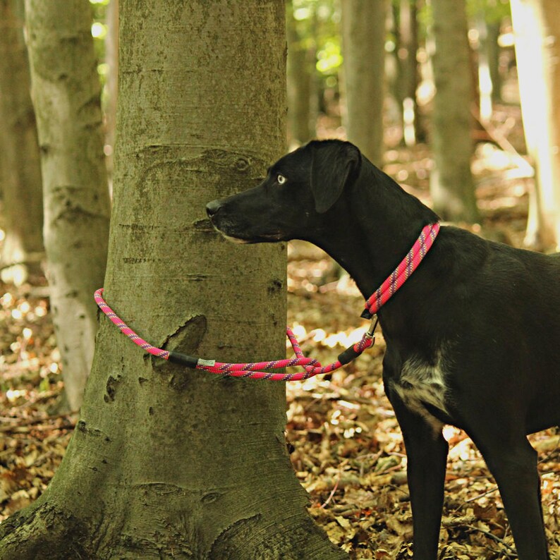 Climbing Rope Dog Collar AKAI // Pink Raspberry Color // Custom Made ...