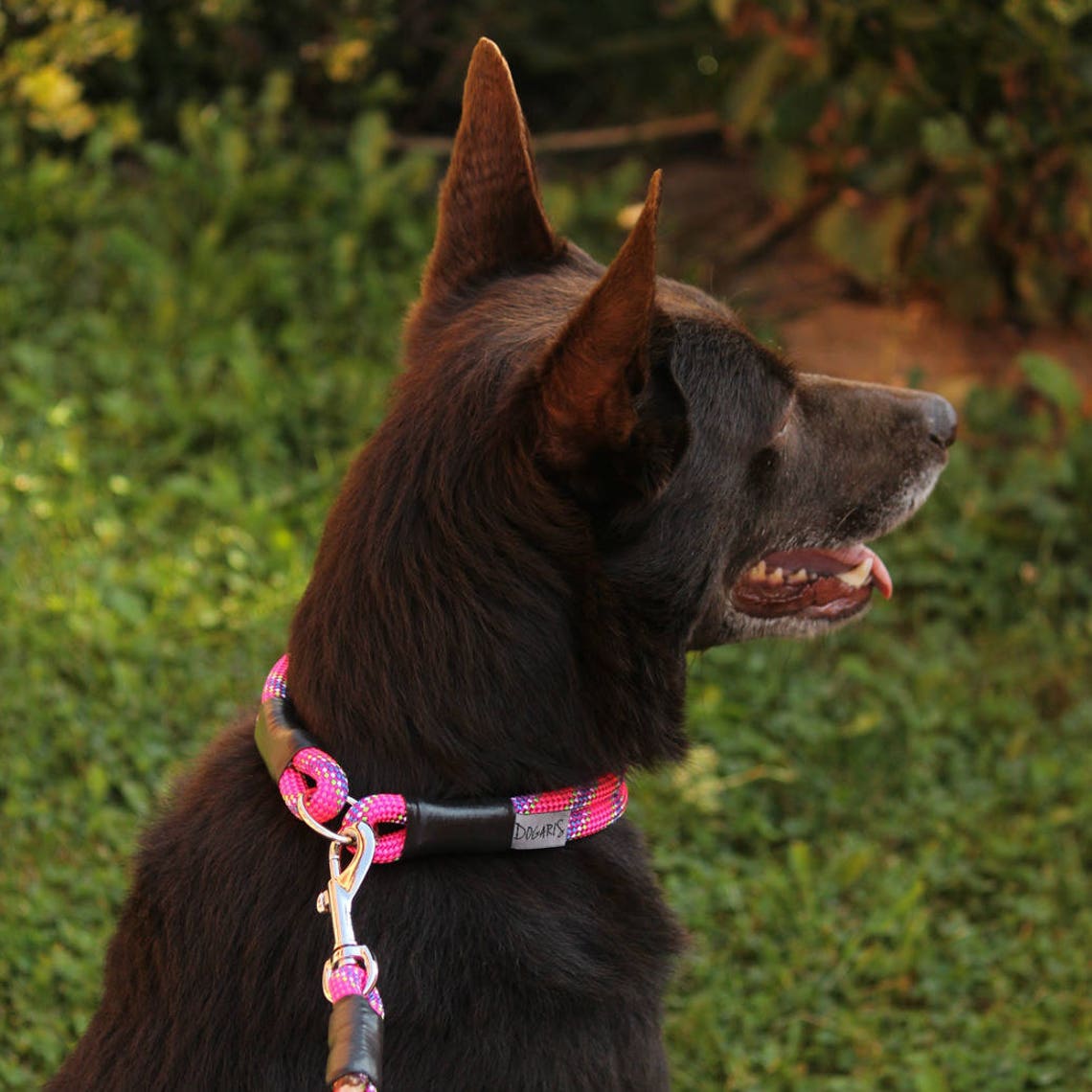 Climbing Rope Dog Collar AKAI // Pink Raspberry Color // Custom Made ...