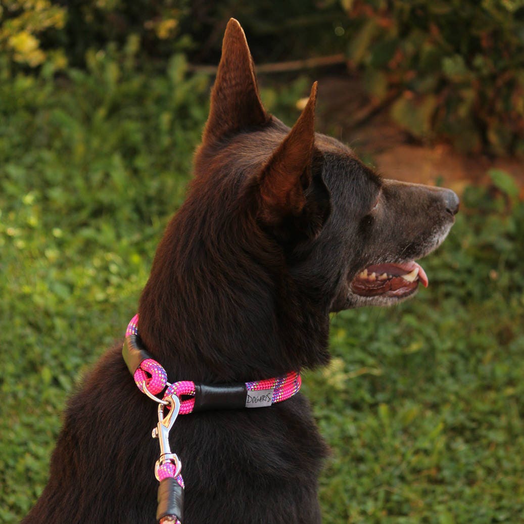 Climbing Rope Dog Collar AKAI // Pink Raspberry Color // Custom Made ...