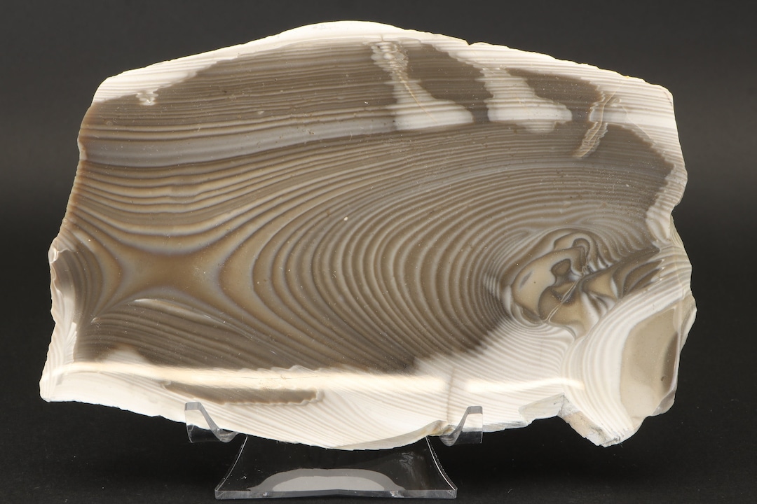 6.5" Polish Flint Slab - Polished Striped Flint Freeform Decor Piece - Etsy