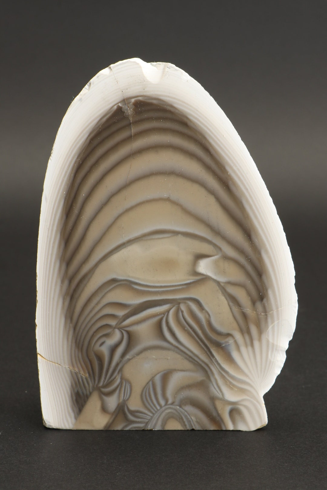 4.5" Polish Flint Display - Polished Striped Flint Freeform Decor Piece ...