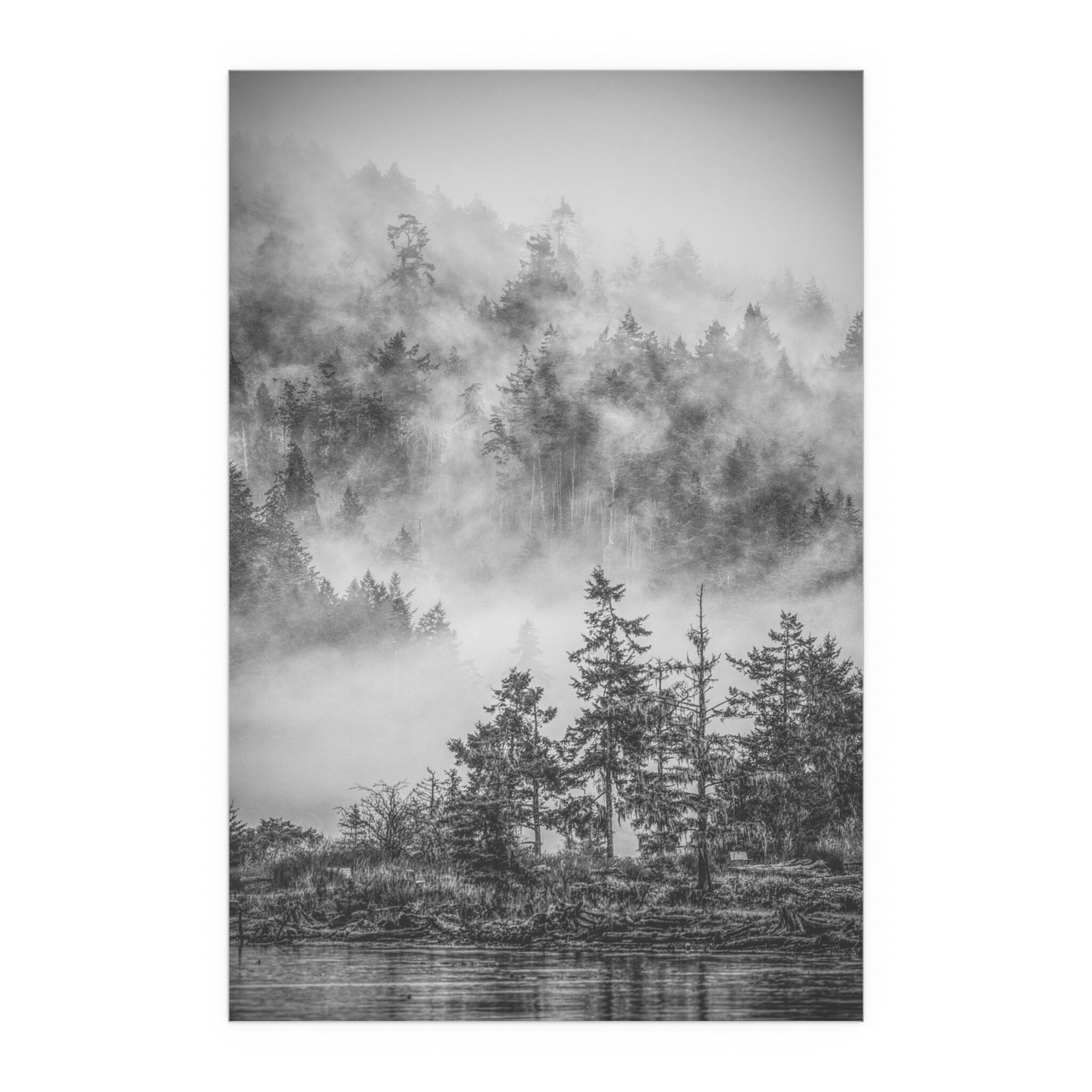 Tree-hugging Clouds - Etsy