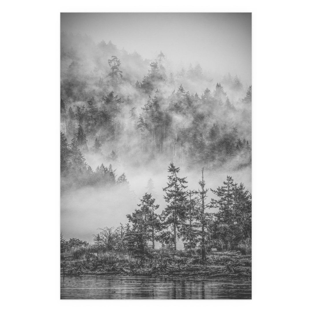 Tree-hugging Clouds - Etsy