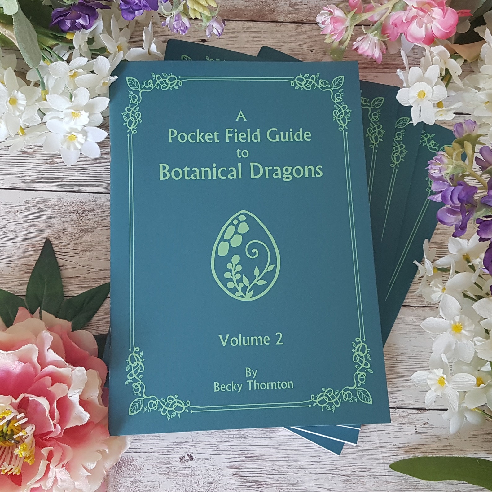 A Pocket Field Guide to Botanical Dragons - Volume 2 - A5 Zine - Art ...