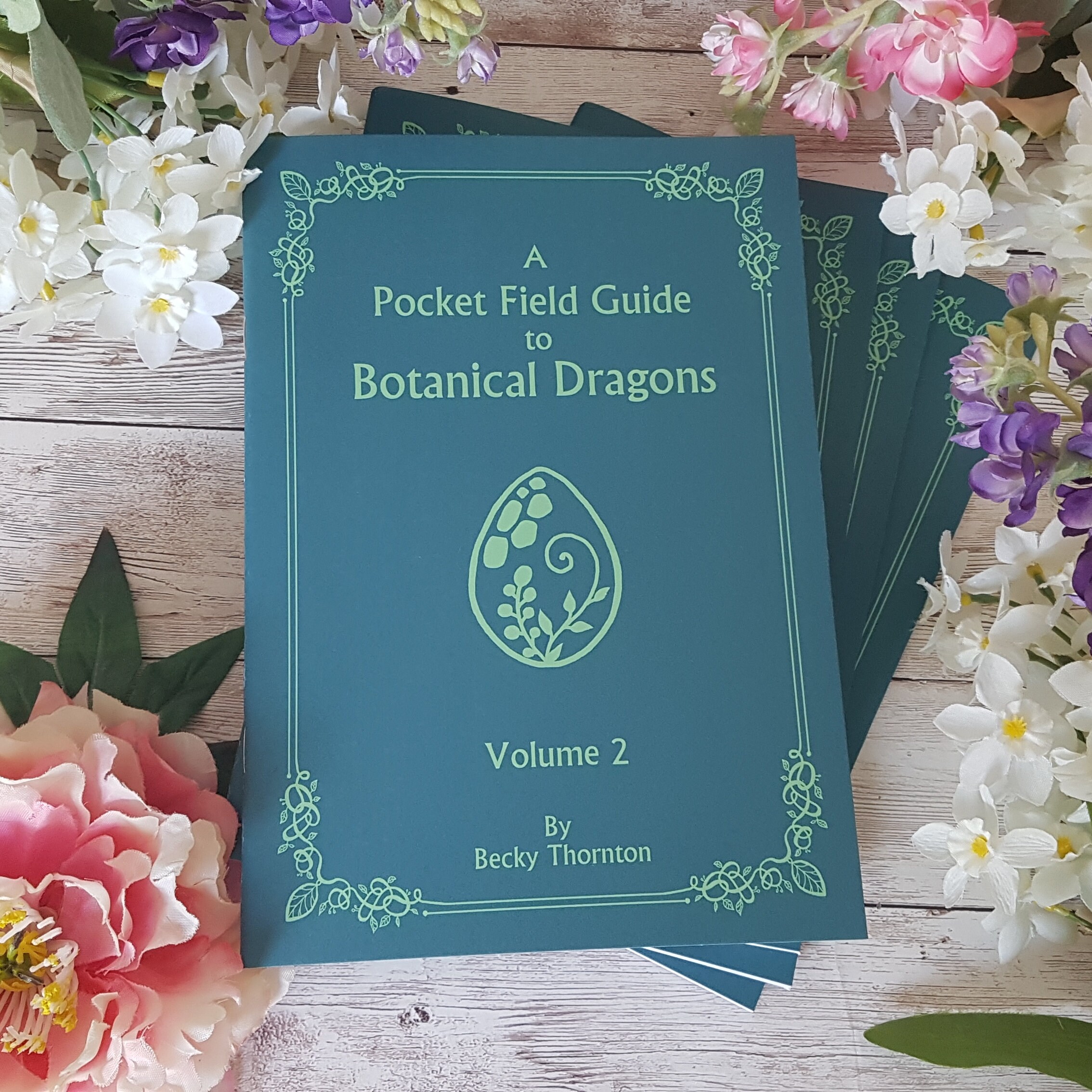 A Pocket Field Guide to Botanical Dragons - Volume 2 - A5 Zine - Art ...