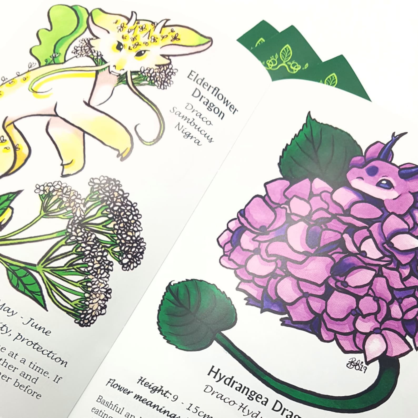 A Pocket Field Guide to Botanical Dragons - Volume 1 - A5 Zine - Art ...