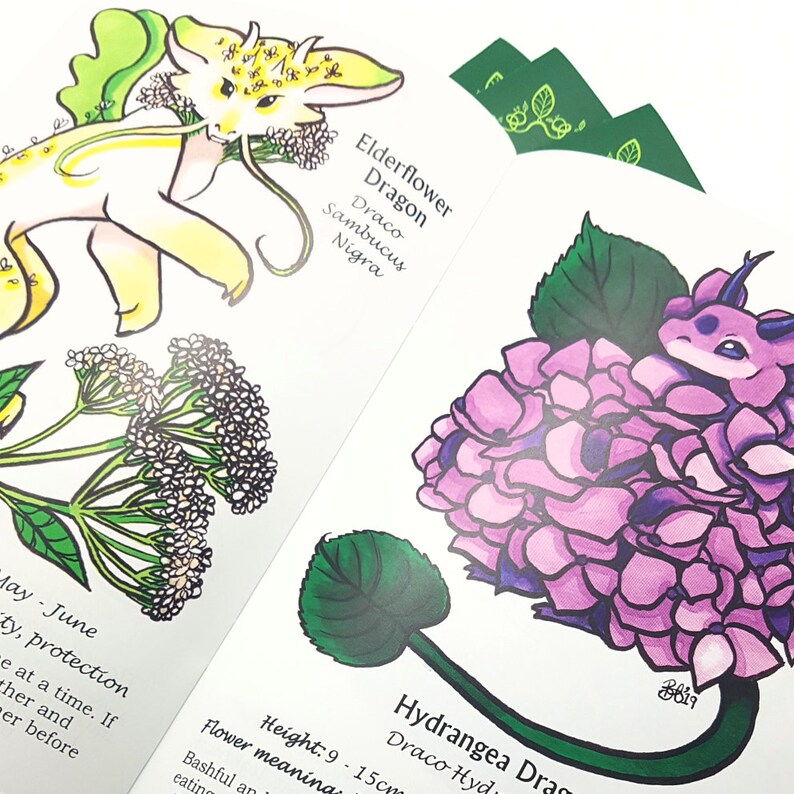 A Pocket Field Guide to Botanical Dragons - Volume 1 - A5 Zine - Art ...