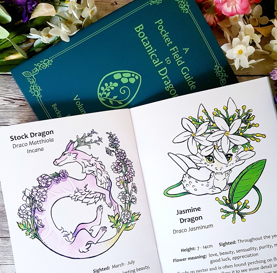 A Pocket Field Guide to Botanical Dragons - Volume 2 - A5 Zine - Art ...