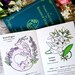 A Pocket Field Guide to Botanical Dragons - Volume 2 - A5 Zine - Art ...