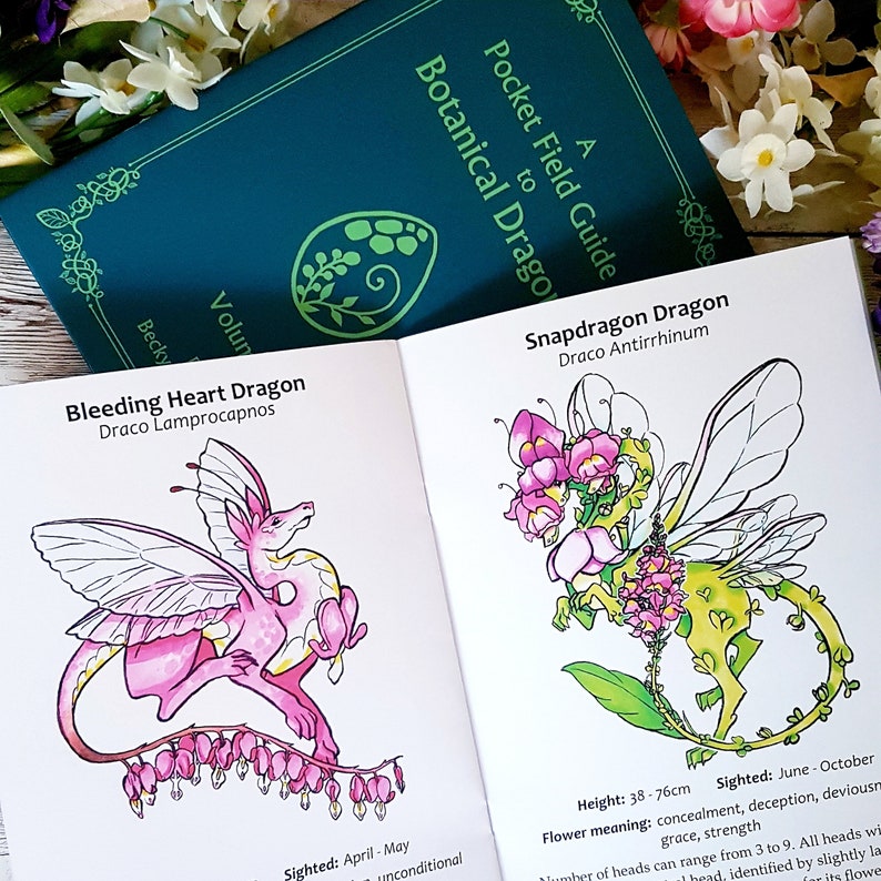 A Pocket Field Guide to Botanical Dragons - Volume 2 - A5 Zine - Art ...