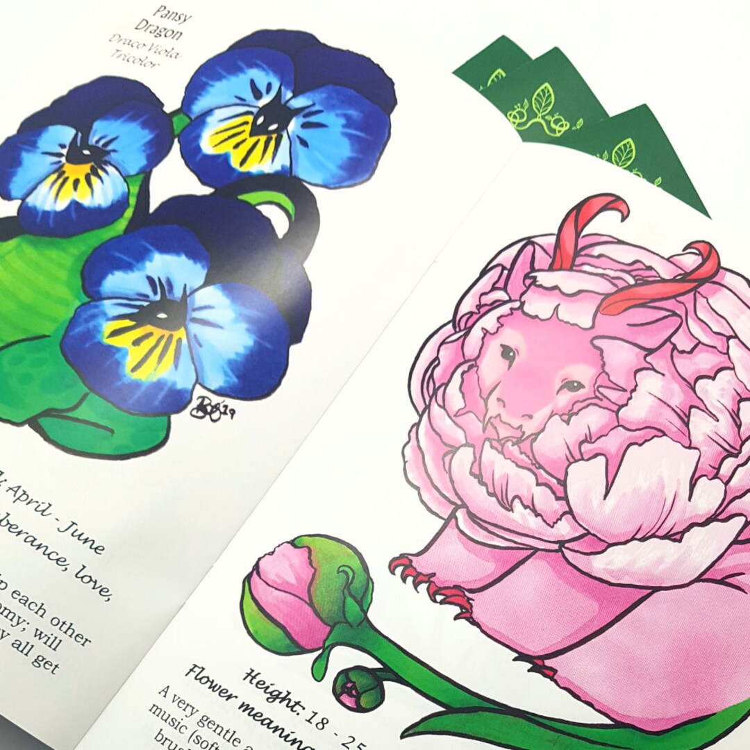 A Pocket Field Guide to Botanical Dragons - Volume 1 - A5 Zine - Art ...