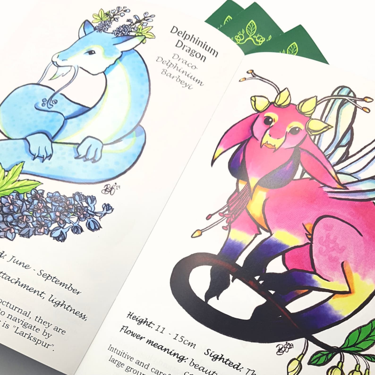 A Pocket Field Guide to Botanical Dragons - Volume 1 - A5 Zine - Art ...