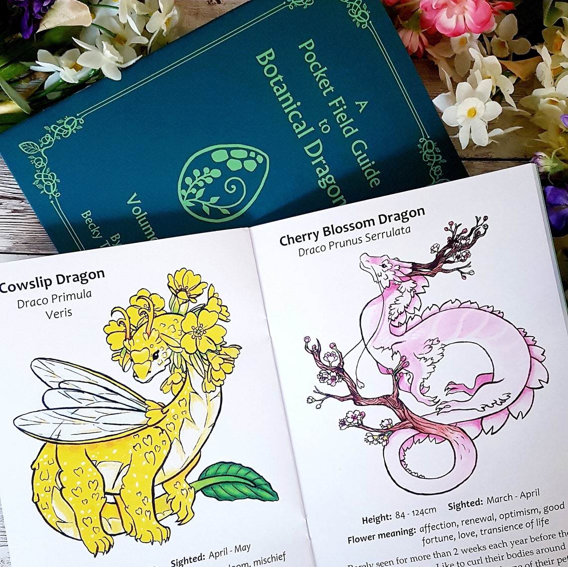 A Pocket Field Guide to Botanical Dragons - Volume 2 - A5 Zine - Art ...