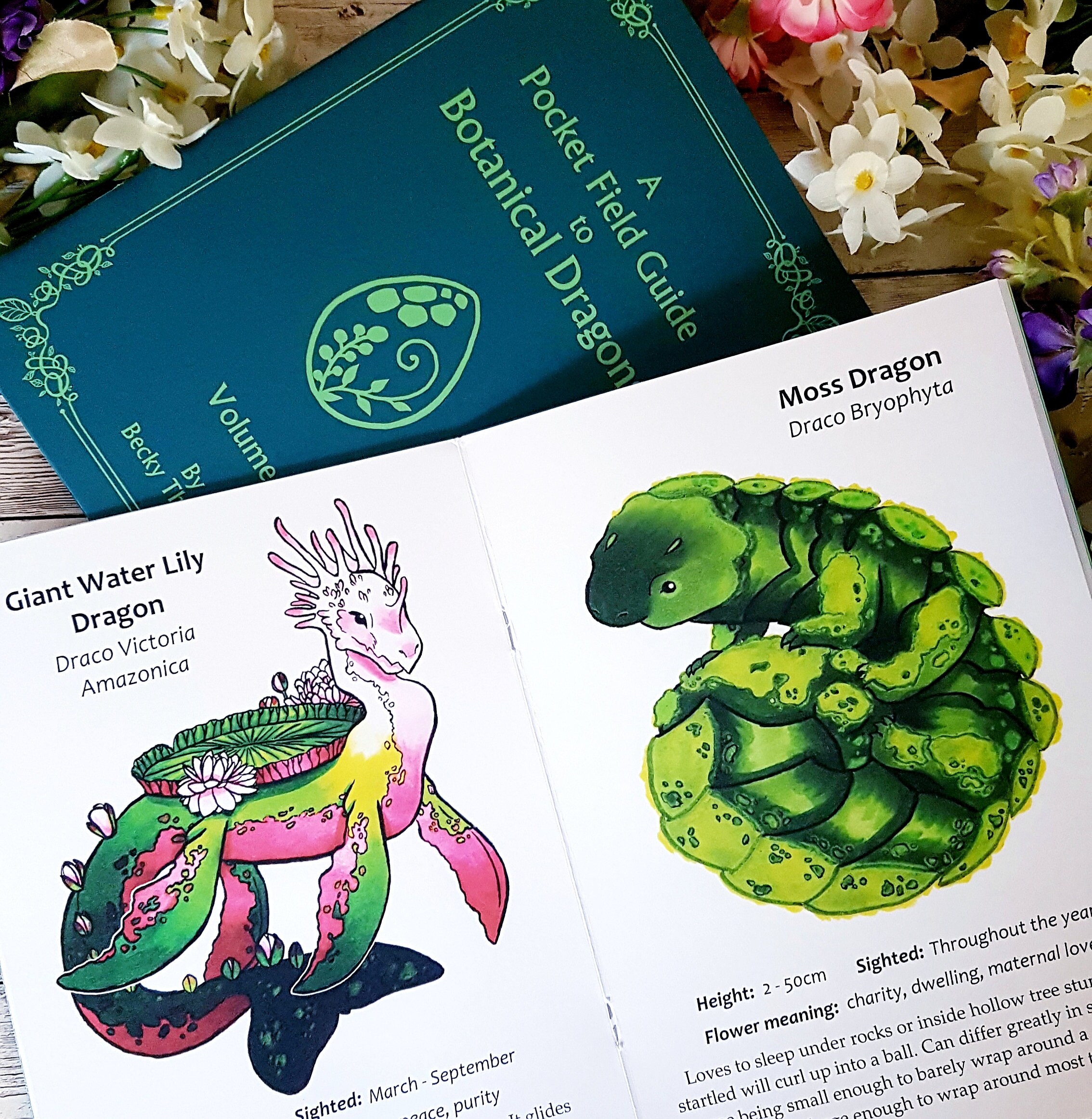 A Pocket Field Guide to Botanical Dragons - Volume 2 - A5 Zine - Art ...
